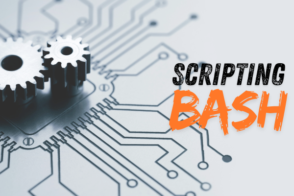 Bash Scripting For Beginners 4 Hours